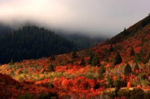 6 Stunning Spots to Experience the Beauty of Fall Foliage
