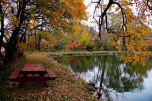 6 Stunning Spots to Experience the Beauty of Fall Foliage