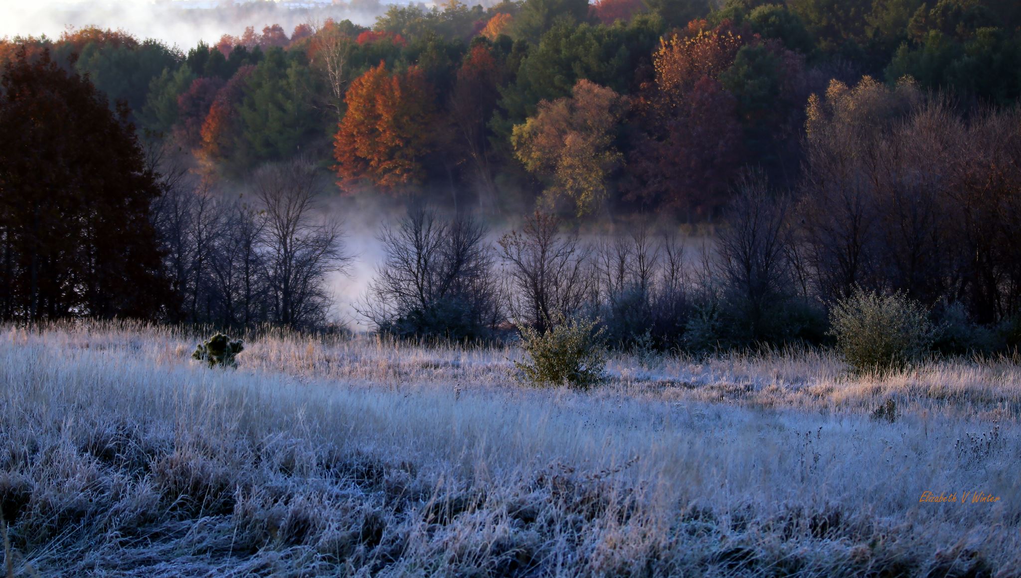 6 Stunning Spots to Experience the Beauty of Fall Foliage