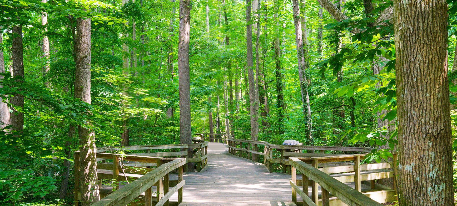 Discover Unique Destinations for Your Spring Getaway