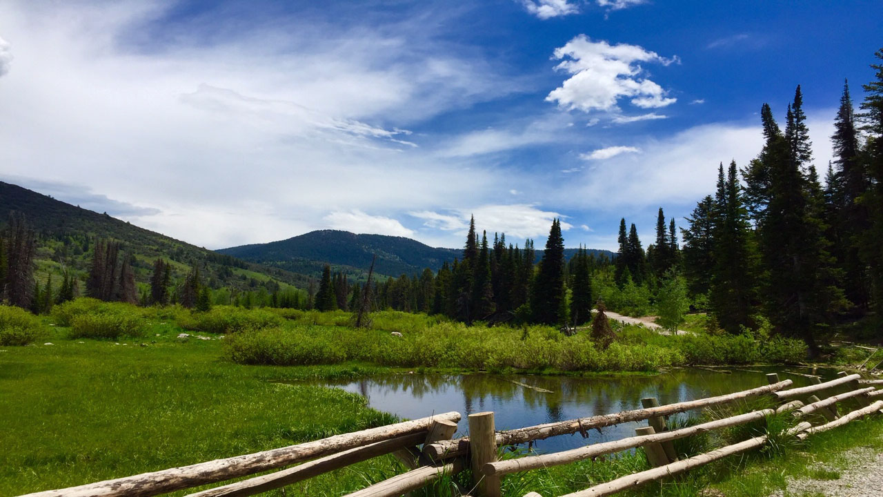 Discover Unique Destinations for Your Spring Getaway