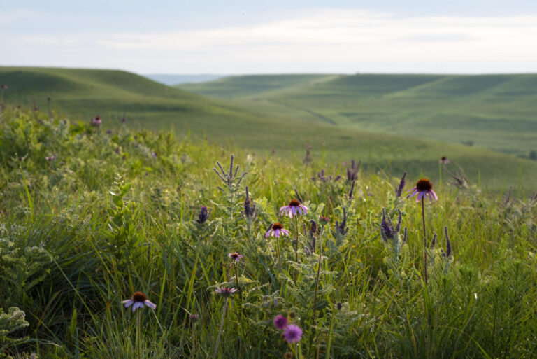 Discover Unique Destinations for Your Spring Getaway