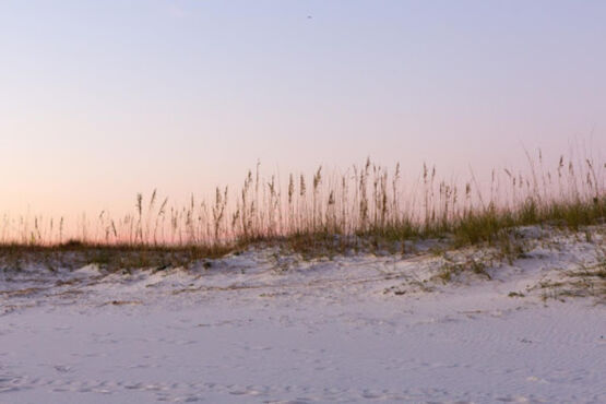 Unique & Exciting Beach Destinations for this Summer