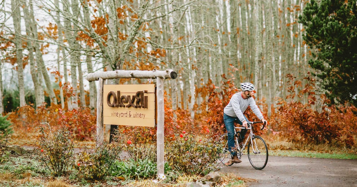 Best Spots to Enjoy the Beauty of Fall Foliage