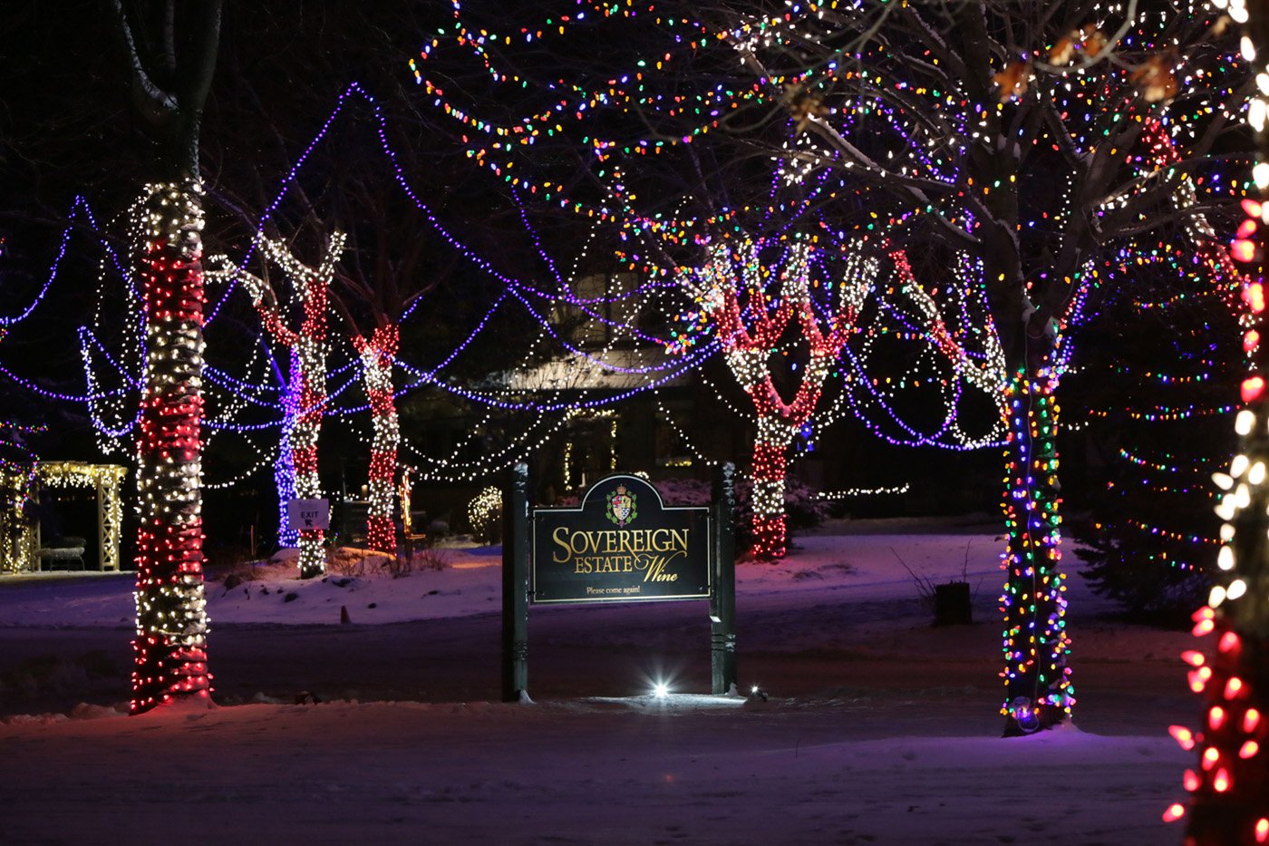 Holiday Light Displays to See This Season